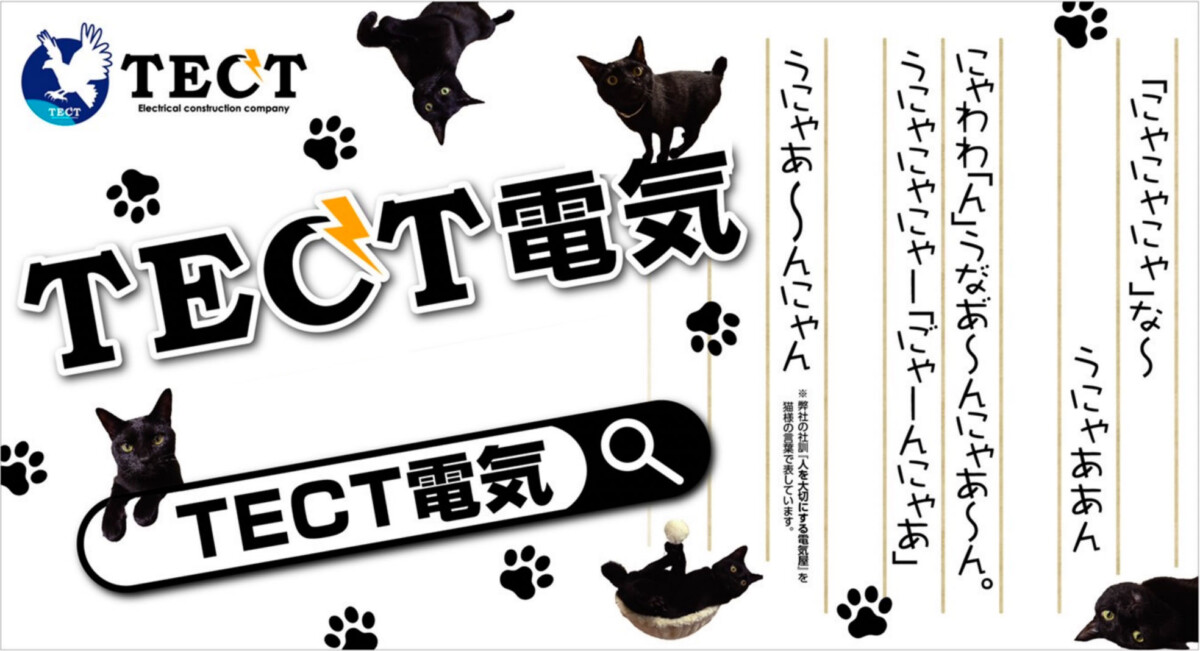 TECT 電気